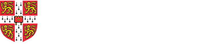 Strigil – BATH – BAlnea & THermae