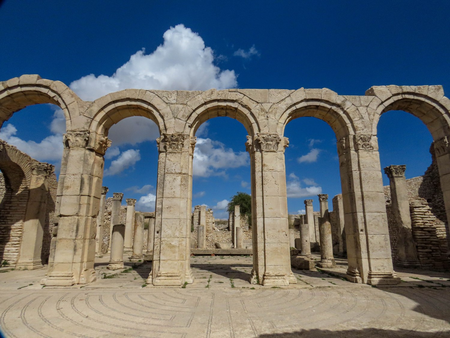 Palaestra – BATH – BAlnea & THermae